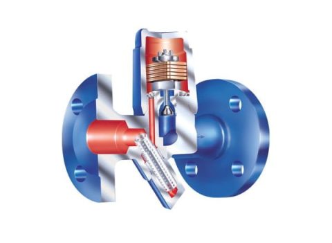 CONA® B BIMETALLIC STEAM TRAP | Stainless Steel Piping & Fittings | DH ...